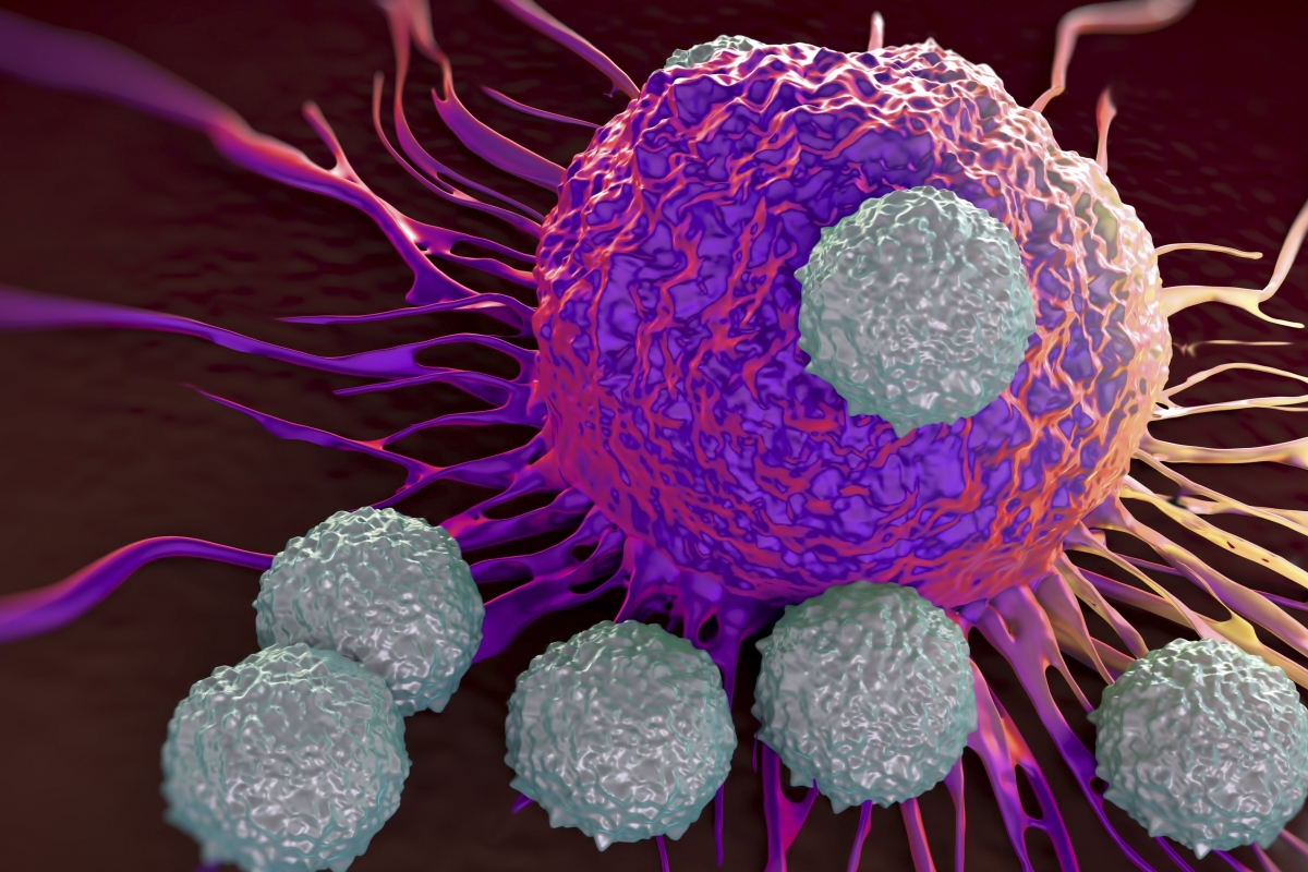 The Latest Cancer Treatments For Patients The Consequences Of The ...